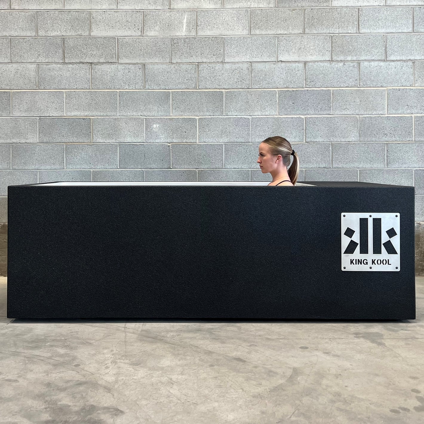 Best Commercial Cold Plunges | The Cold Plunge Store – The Cold Plunge ...